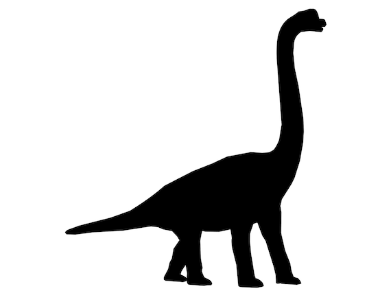 Brachiosaurus Clipart Black And White School