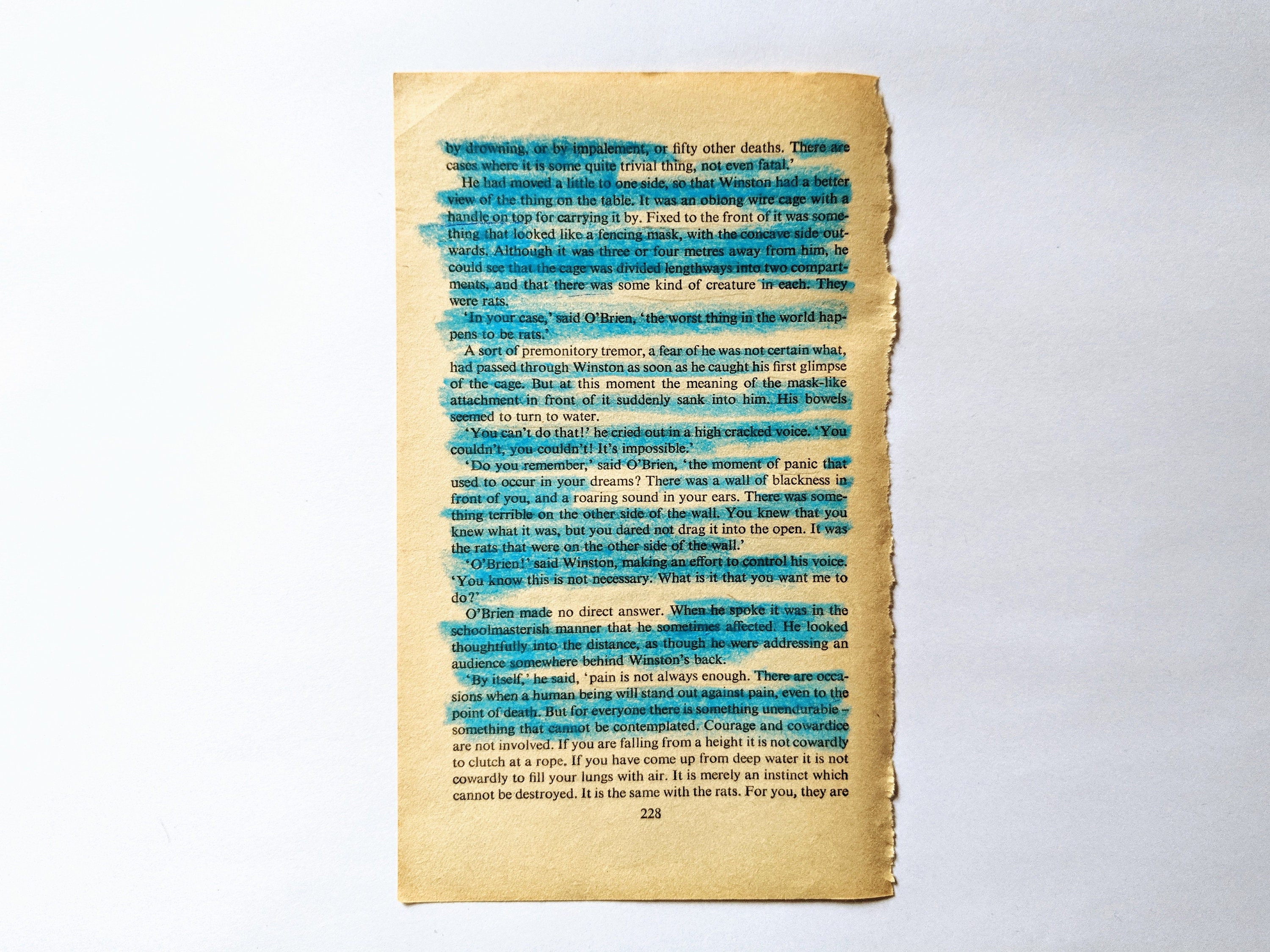 PDF 1984 Blackout Poetry Zine // Hannah Pickard + George Orwell - Etsy