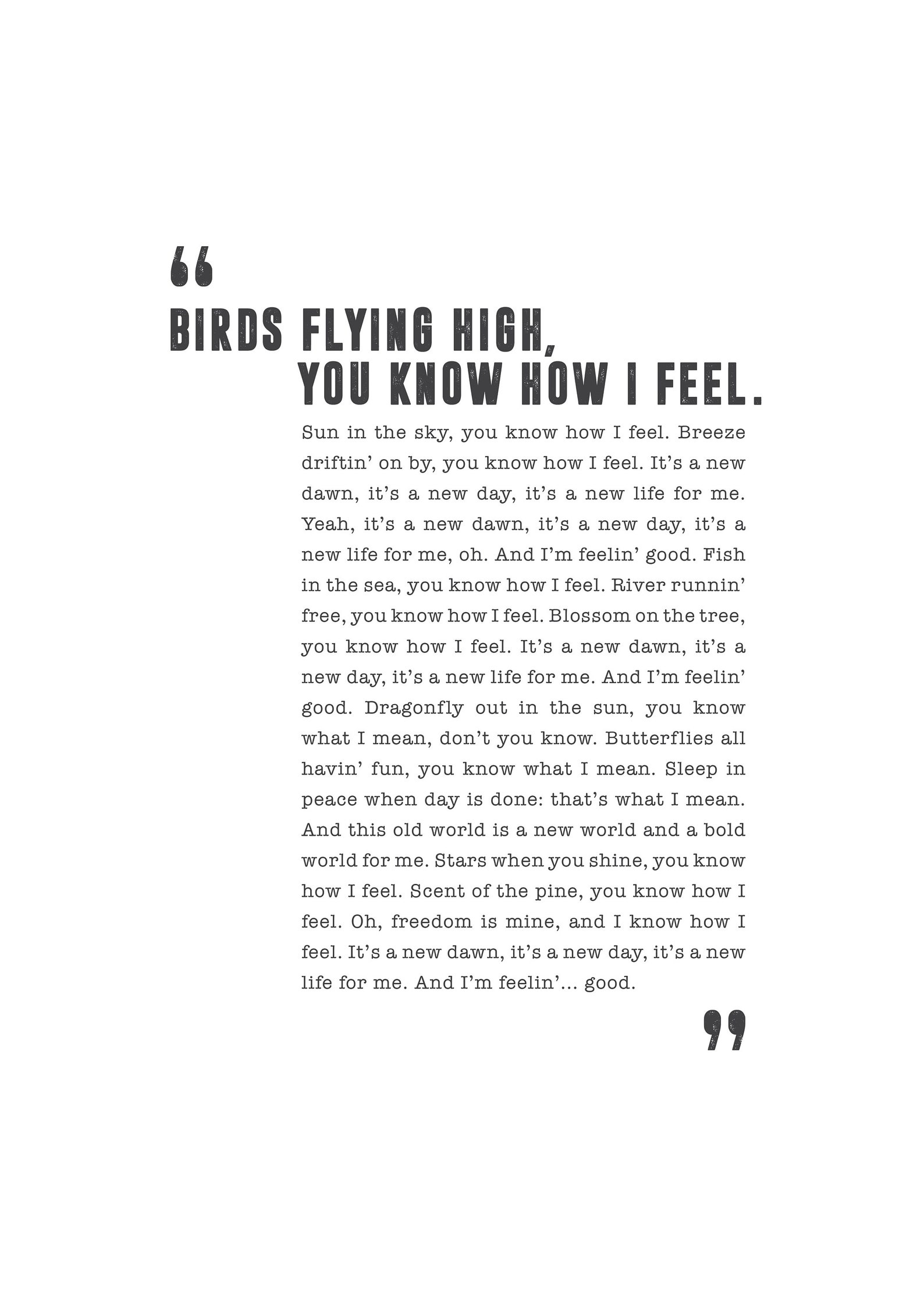 Feeling Good Nina Simone Poster Song Lyrics Print Song | Etsy