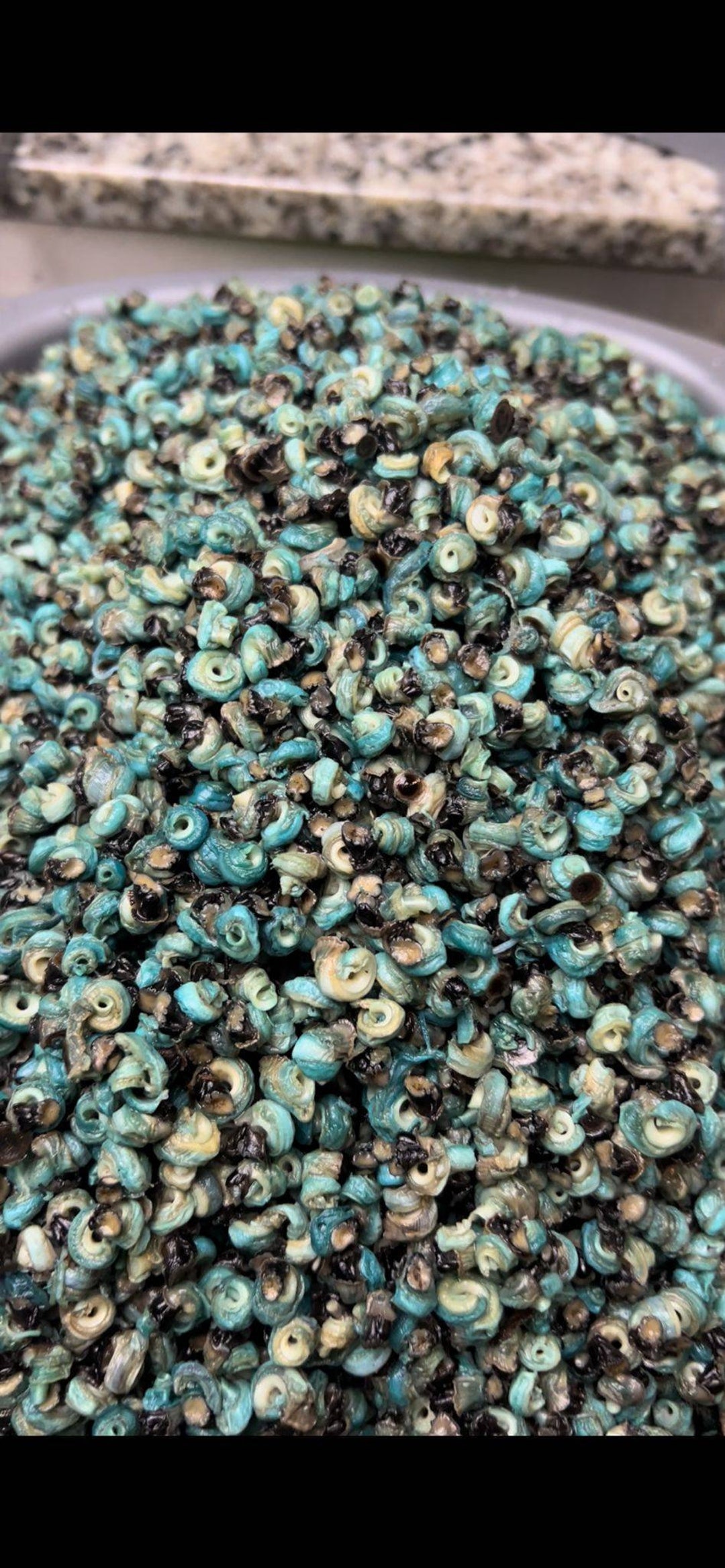 Fresh Periwinkle, Isam , 6oz - Etsy