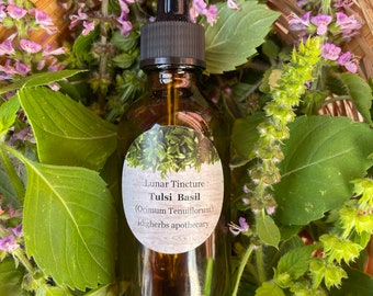 Tulsi Holy Basil Tincture Ocimum Tenuiflorum - Etsy