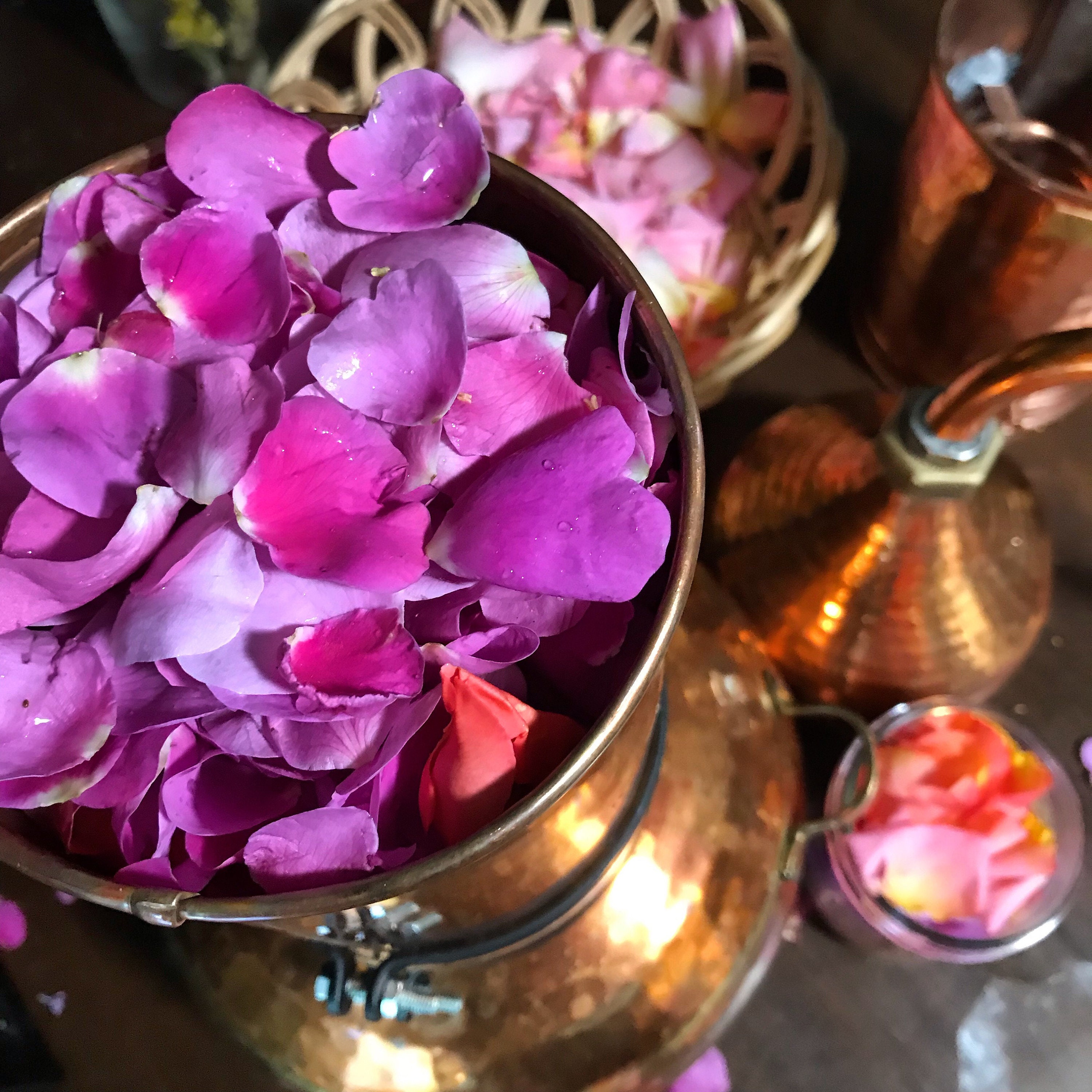 Rose Hydrosol Homegrown Organic Rose Floral Water Facial Toner Copper