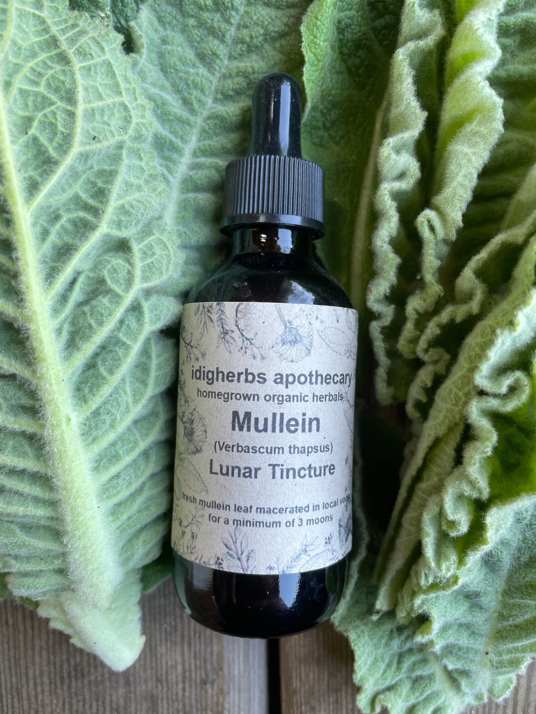 Mullein Leaf Lunar Tincture Organic Herbal Remedy Verbascum Thapsus ...