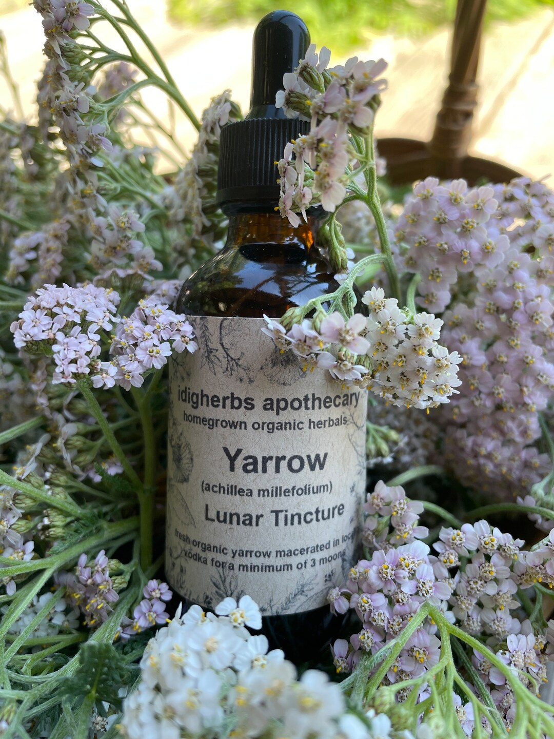 Yarrow Tincture Organic, Natural Health, Herbal Remedy, Homegrown Lunar ...