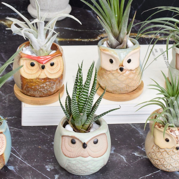 Owl Flower Pot - Etsy