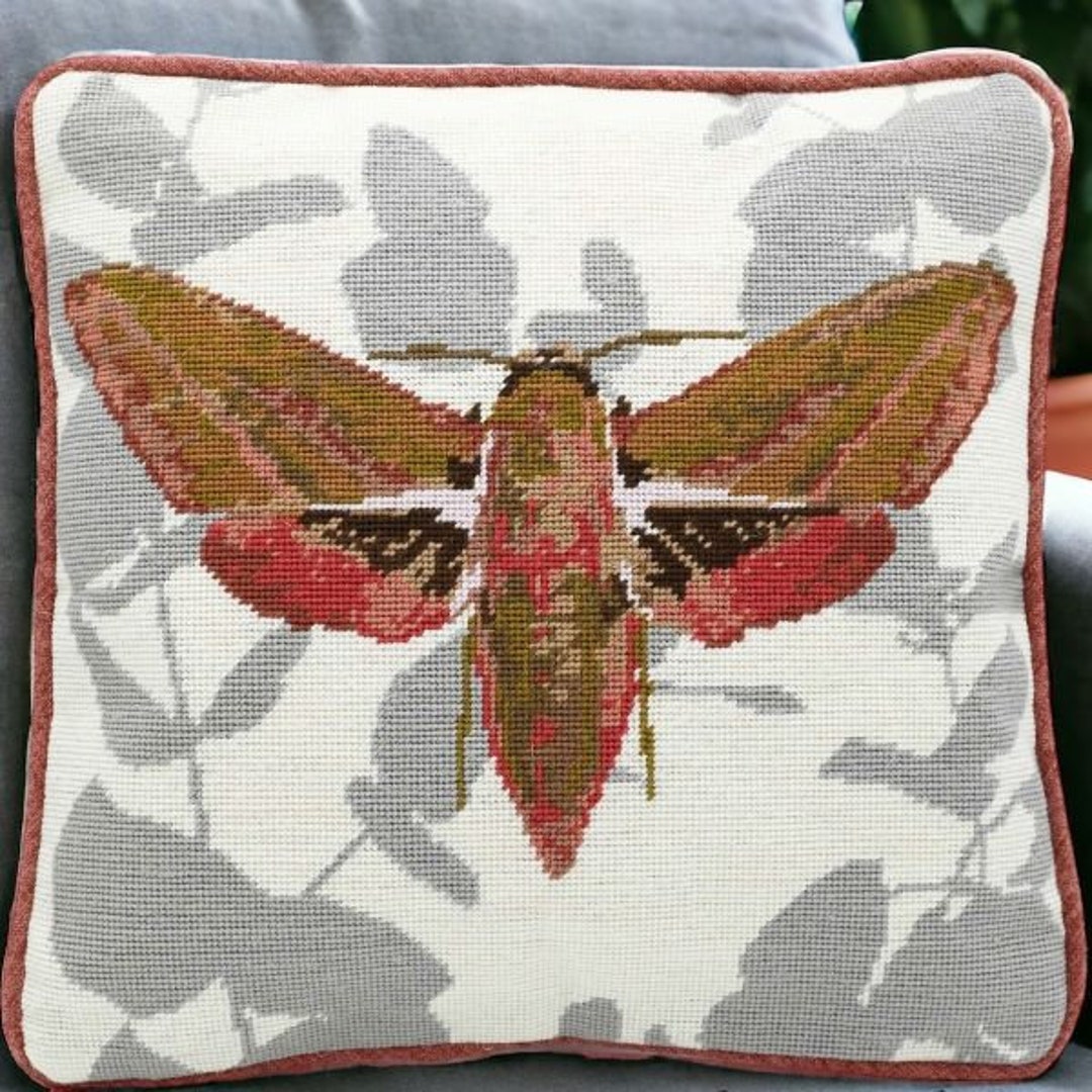 Elephant Hawk Moth Tapestry Kit, Needlepoint Kit - Cushion Front ...