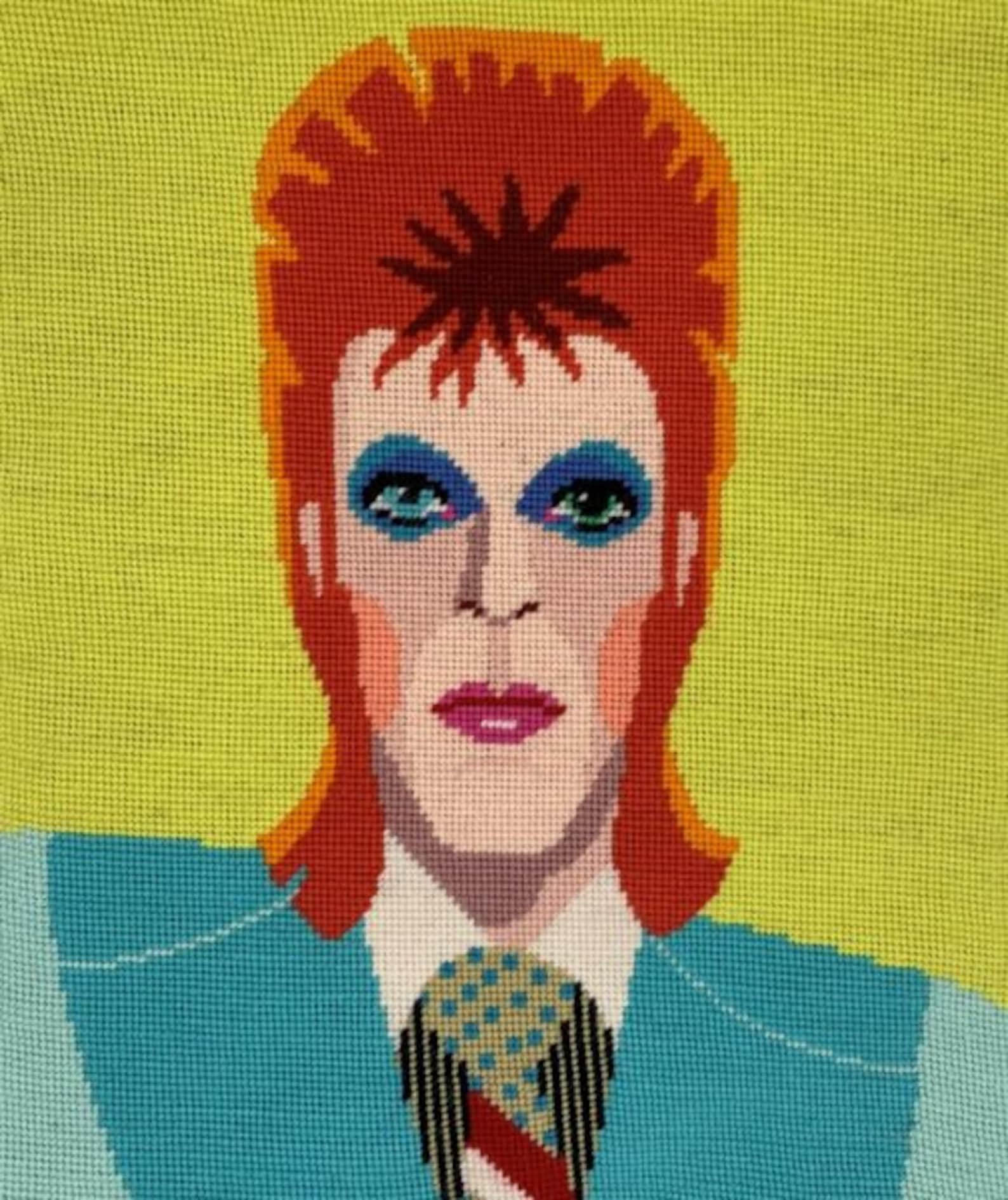 Tapestry Kit, Needlepoint Kit - David Bowie- 12 Holes per Inch Colour ...