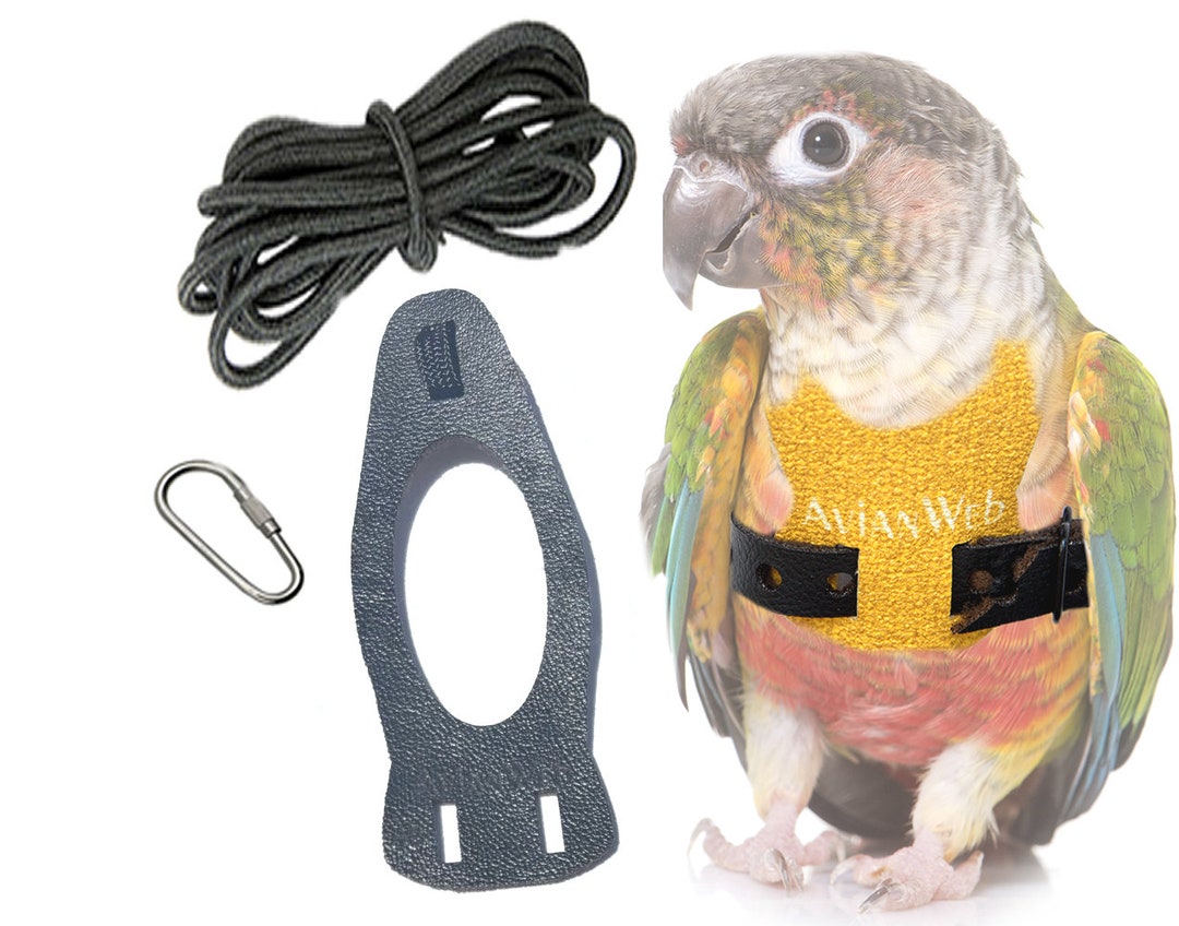Small Conure & Cockatiel Harness / Leash NOT Included - Etsy