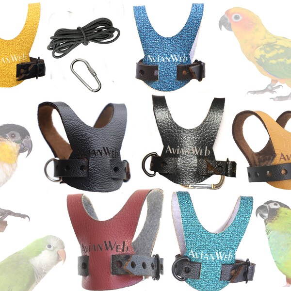 Bird Harness and Leash for Bird - Etsy