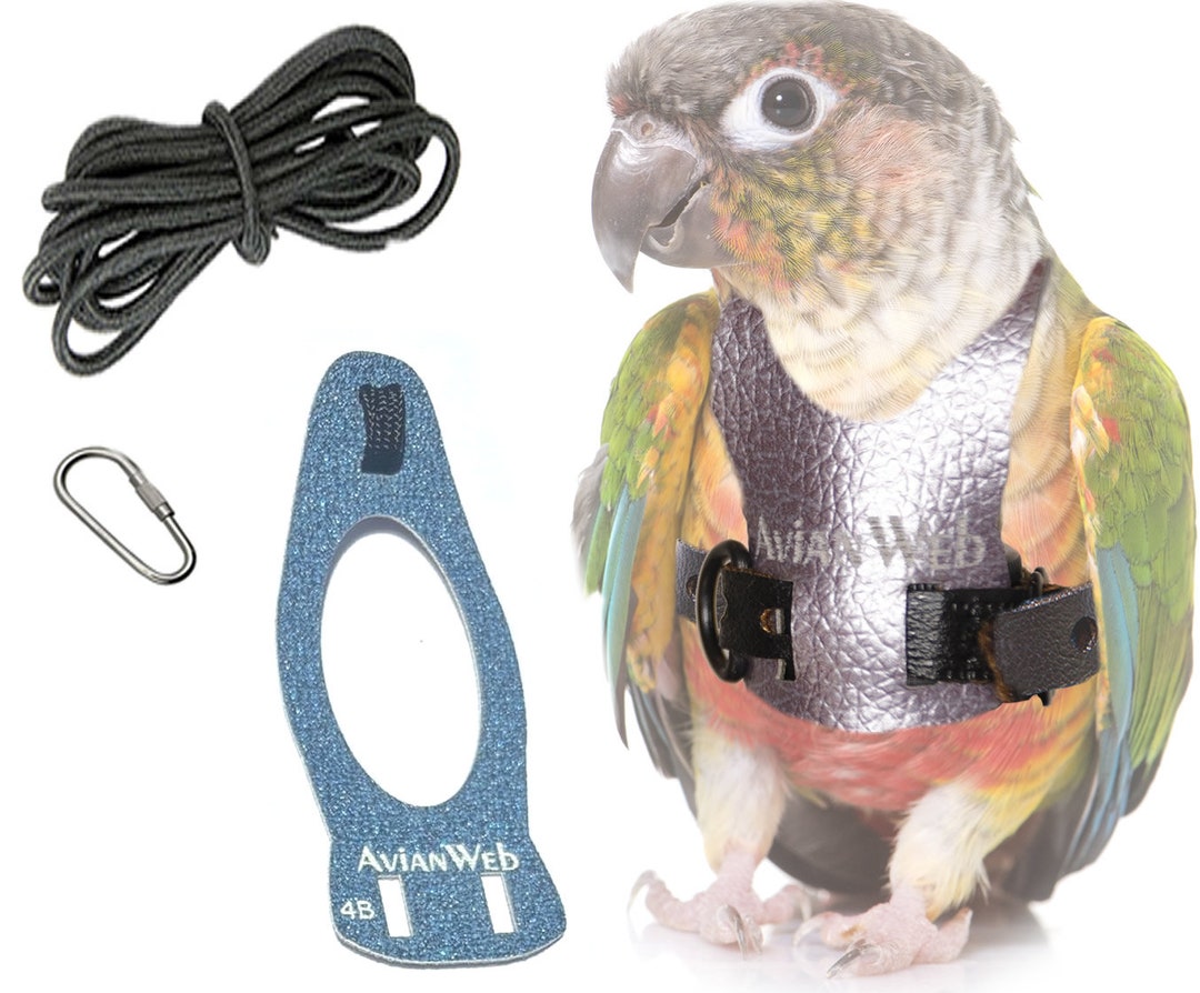 Small Conure & Cockatiel Harness / Leash NOT Included - Etsy