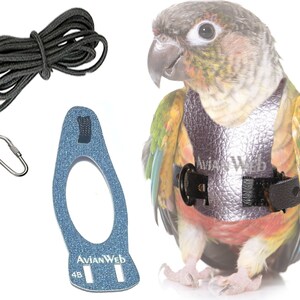 Small Conure & Cockatiel Harness / Leash NOT Included - Etsy