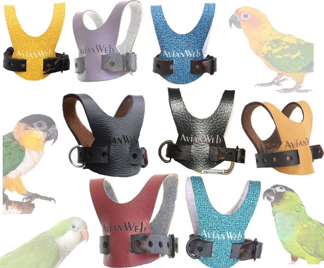 Mid-sized Conure / Quaker / Caique Bird Harness/bird Vest Only leash ...