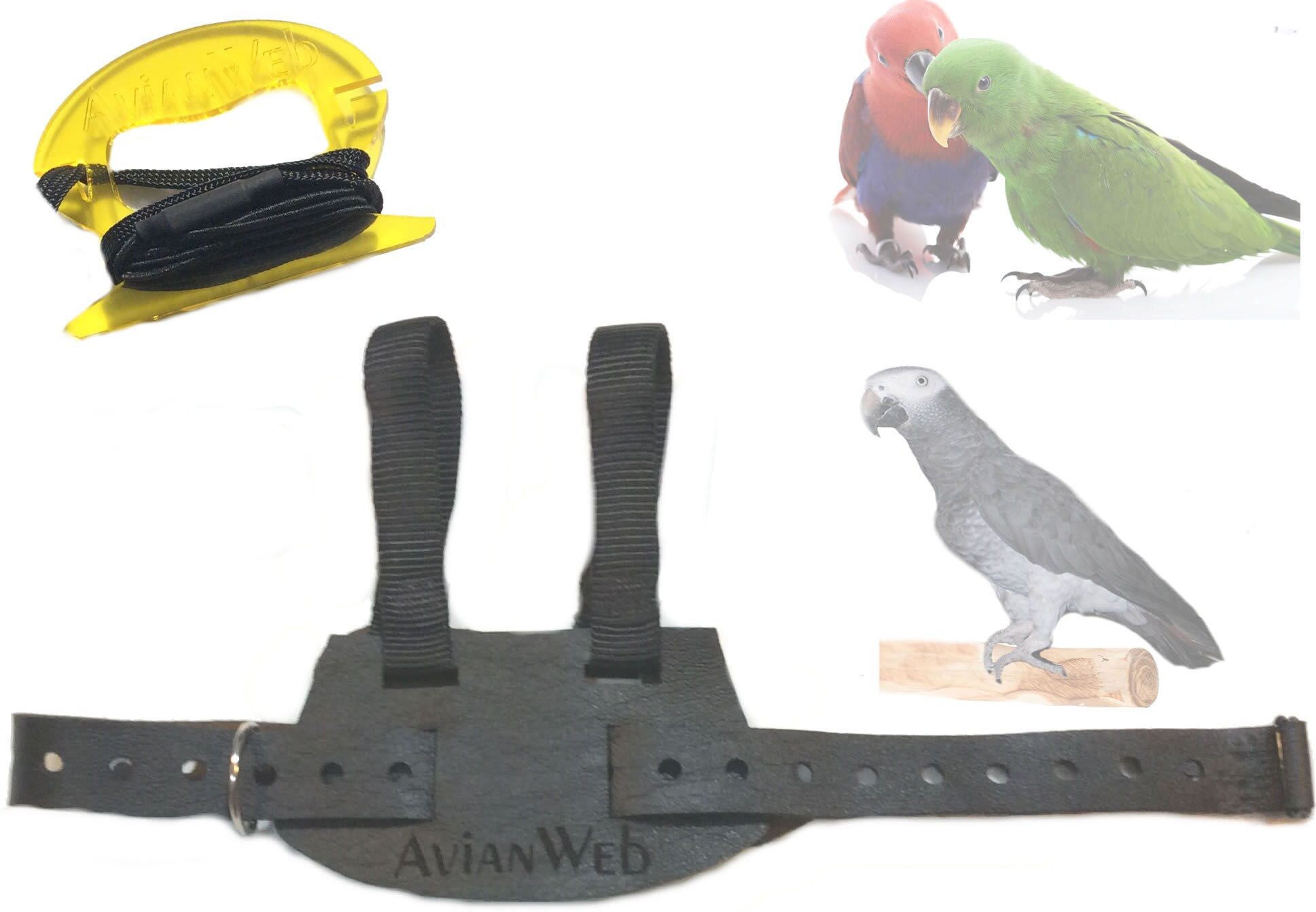 Avianweb EZ Rider Bird Harness & 6 Ft Leash - Etsy Australia