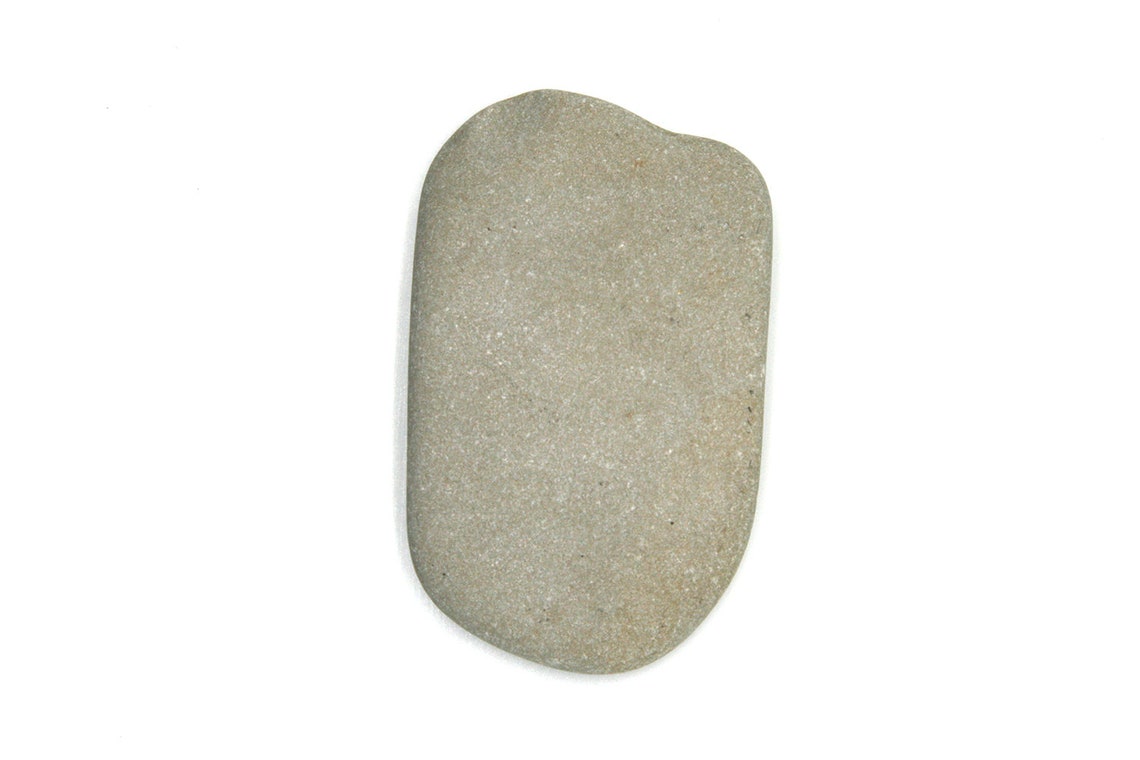 Cute Black Dragon Wyrm Raptor Dinosaur Pangolin Lizardfolk in | Etsy