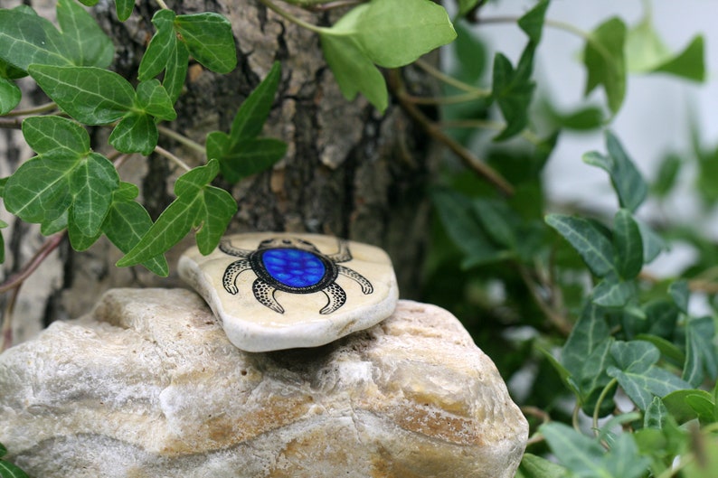 Weird Alien Insect Turtle Beetle Cryptozoology Entomology | Etsy