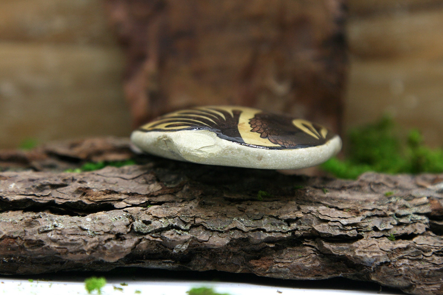 Cute Black Dragon Wyrm Raptor Dinosaur Pangolin Lizardfolk in | Etsy