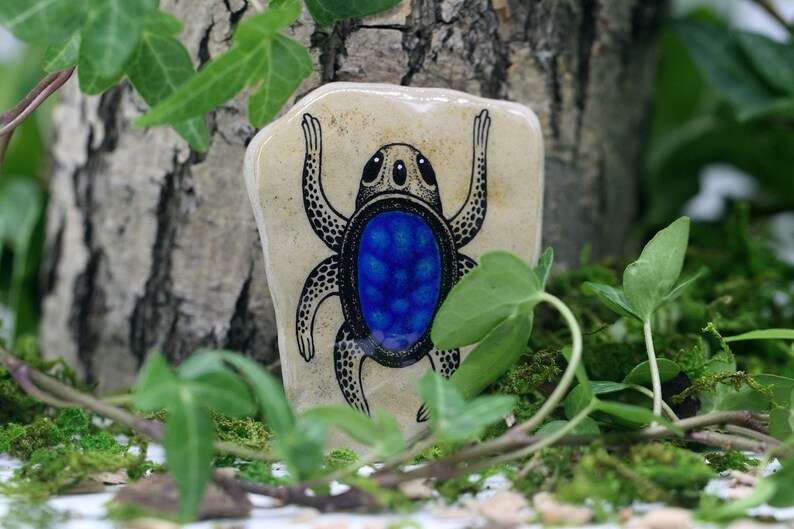 Weird Alien Insect Turtle Beetle Cryptozoology Entomology | Etsy