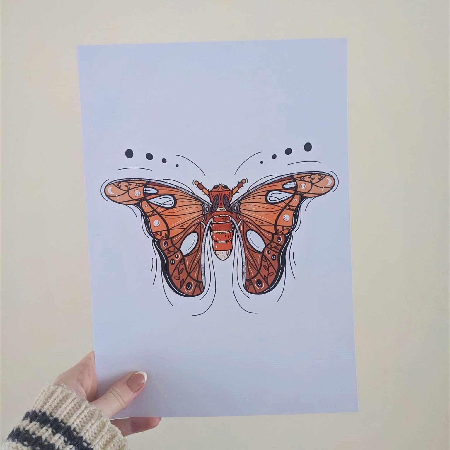 Atlas Moth Art Print - Etsy
