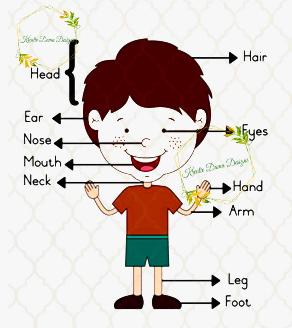 Educational Chartboy Body Chart Book Pocket Pillow - Etsy