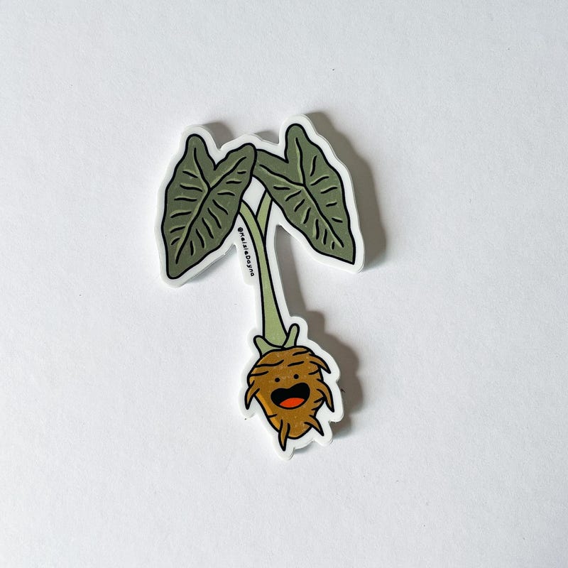 KelsieDaynaDesigns - Etsy