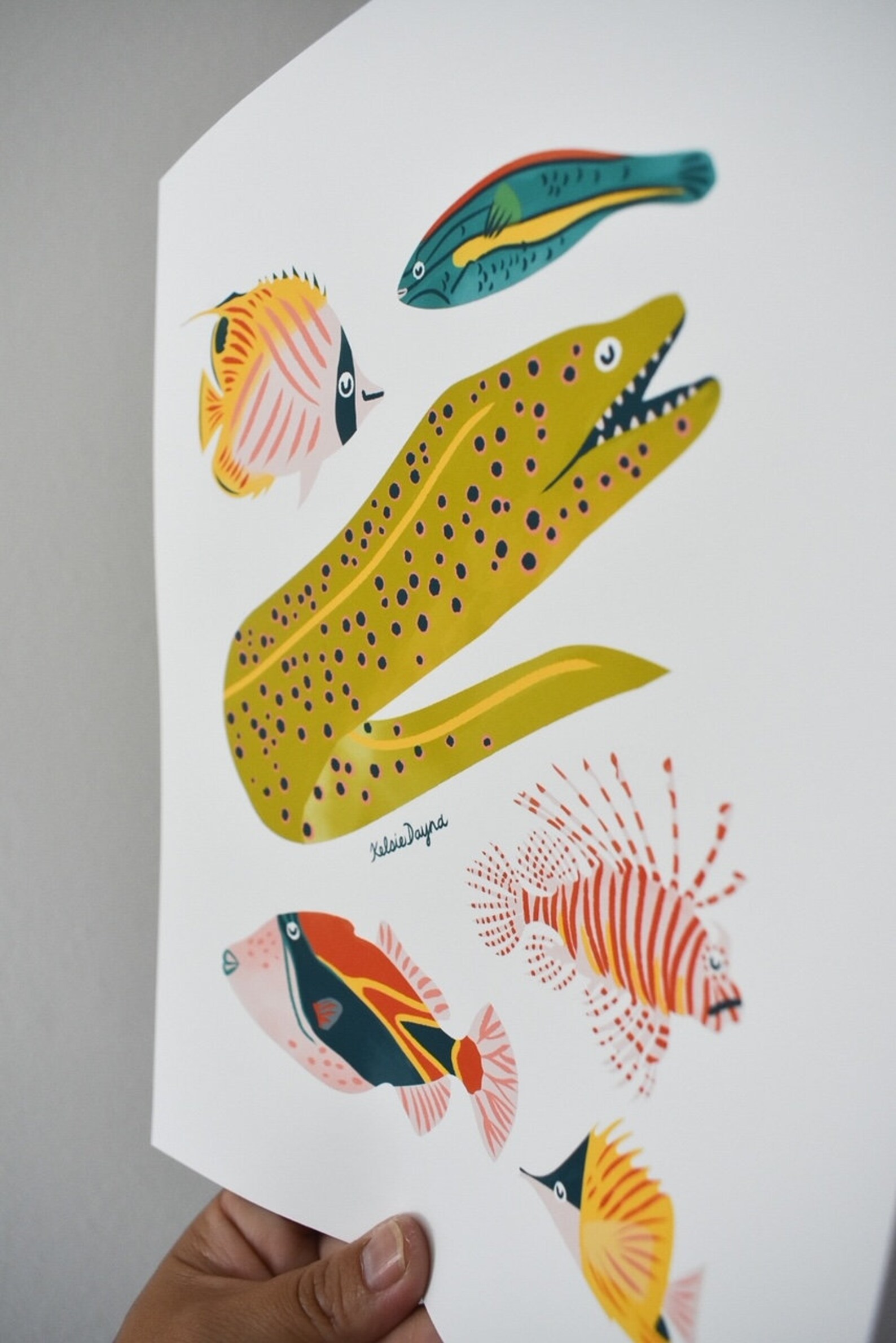 Hawaiian Fish Art Print Hawaii Art Marine Life Art Fish | Etsy