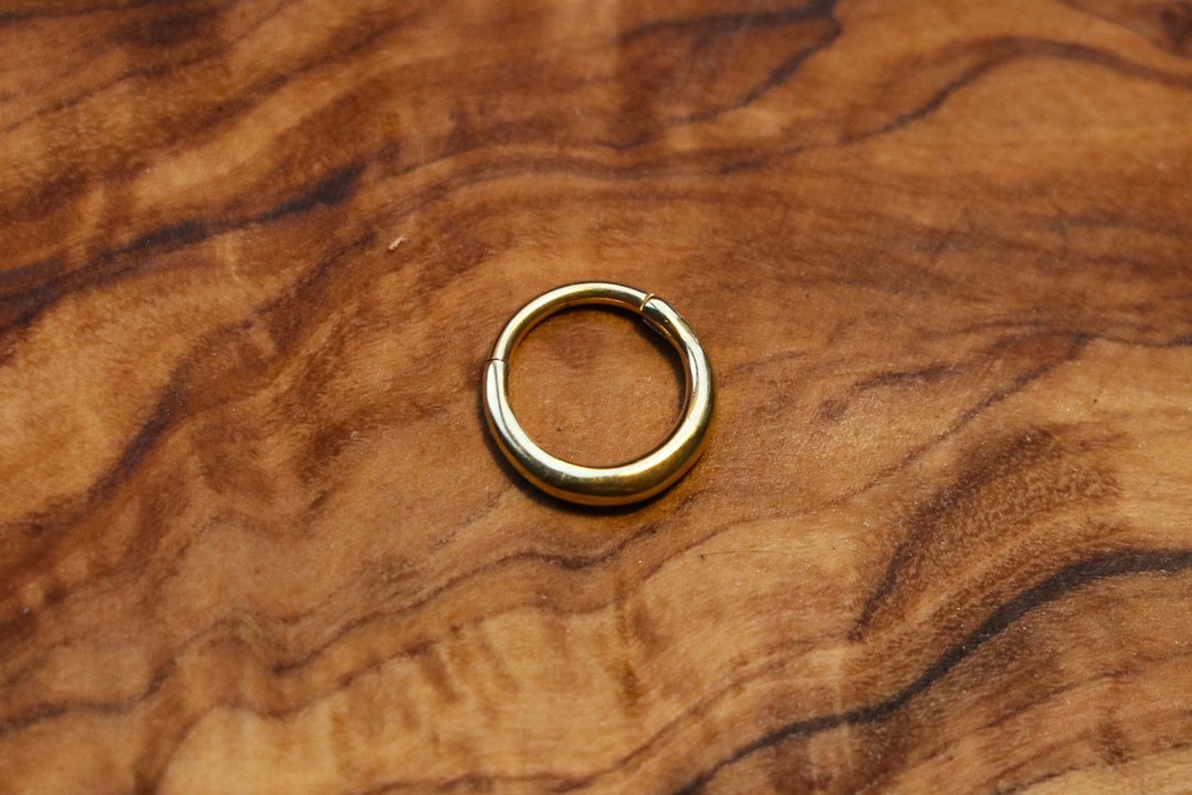 Golden Hinged Segment Septum Ring | Gold PVD and Surgical Steel | 1.2mm ...