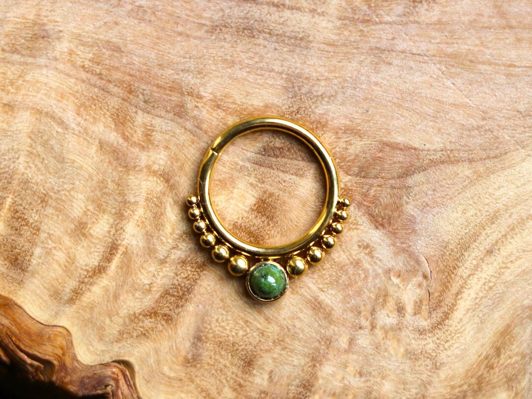 Hinged Segment Septum Rings | African Jade | Surgical Steel and PVD ...