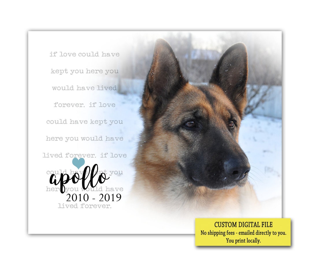 Dog Memorial Gift Idea Custom Photo Dog Memorial Personalized Dog ...