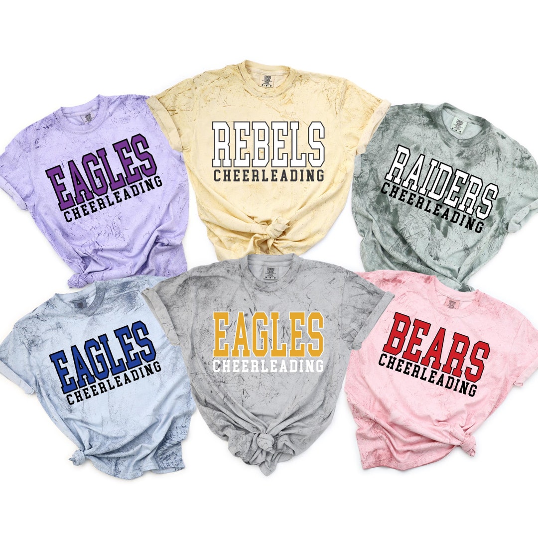 Custom Cheerleading Tee Cheerleading Shirt, Team Mascot, Cheer Coach ...