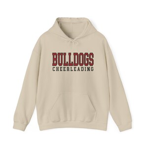 Custom Cheerleading Hoodie | Cheerleading Sweatshirt, Team Mascot ...