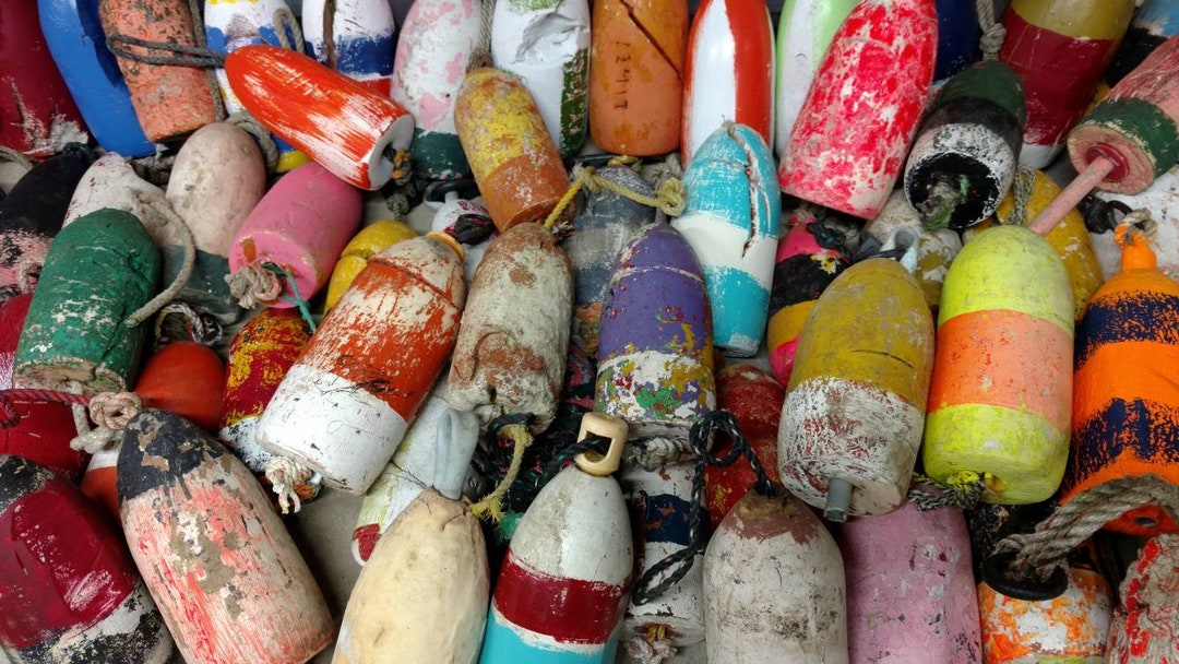 1 Buoy Styrofoam Distressed Buoy All From New England Coast of Maine ...