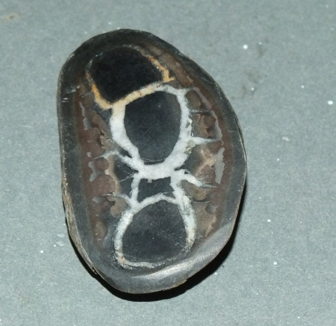 Small Septarian Fossil Stone Amulet Thailand FREE SHIPPING - Etsy