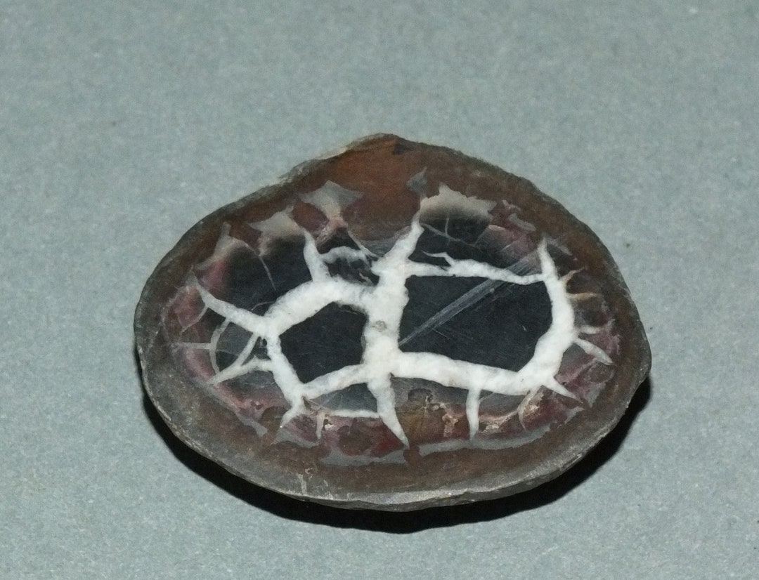 Small Septarian Fossil Stone Amulet Thailand FREE SHIPPING - Etsy