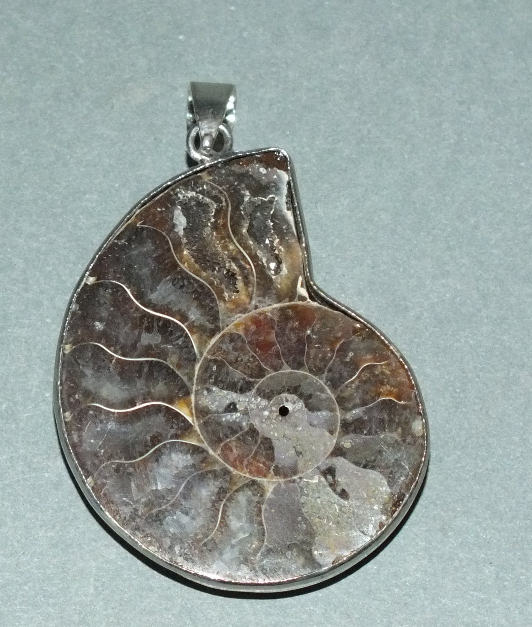 Ammonite Fossil Stone Pendant Amulet With Metal Mounting Thailand FREE ...
