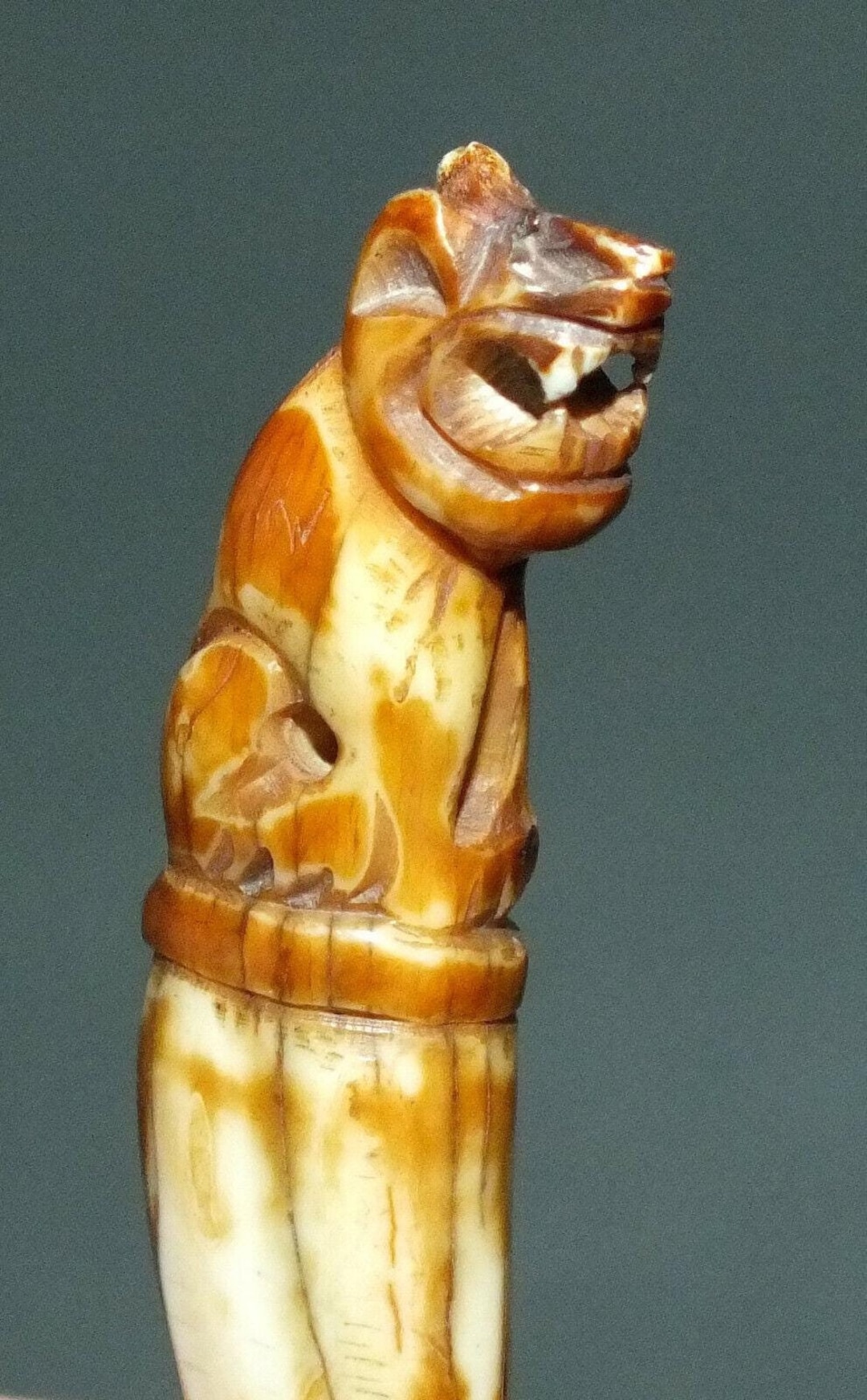 Buffalo Bone Tiger Amulet Talisman With Tooth Shape Thailand - Etsy