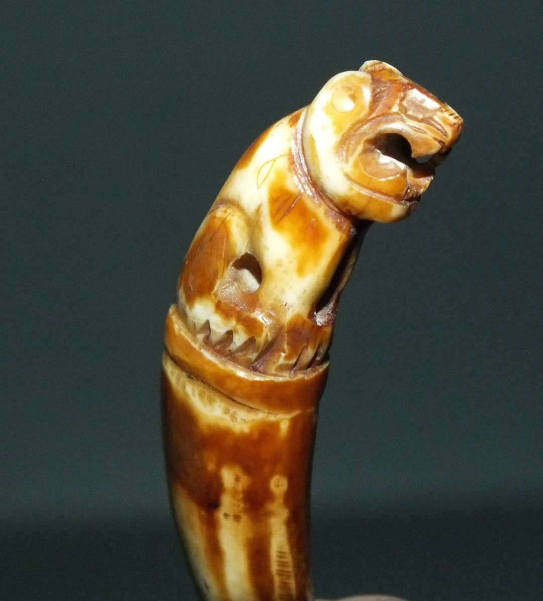 Buffalo Bone Amulet Pendant With Tiger Carving Thailand FREE SHIPPING ...