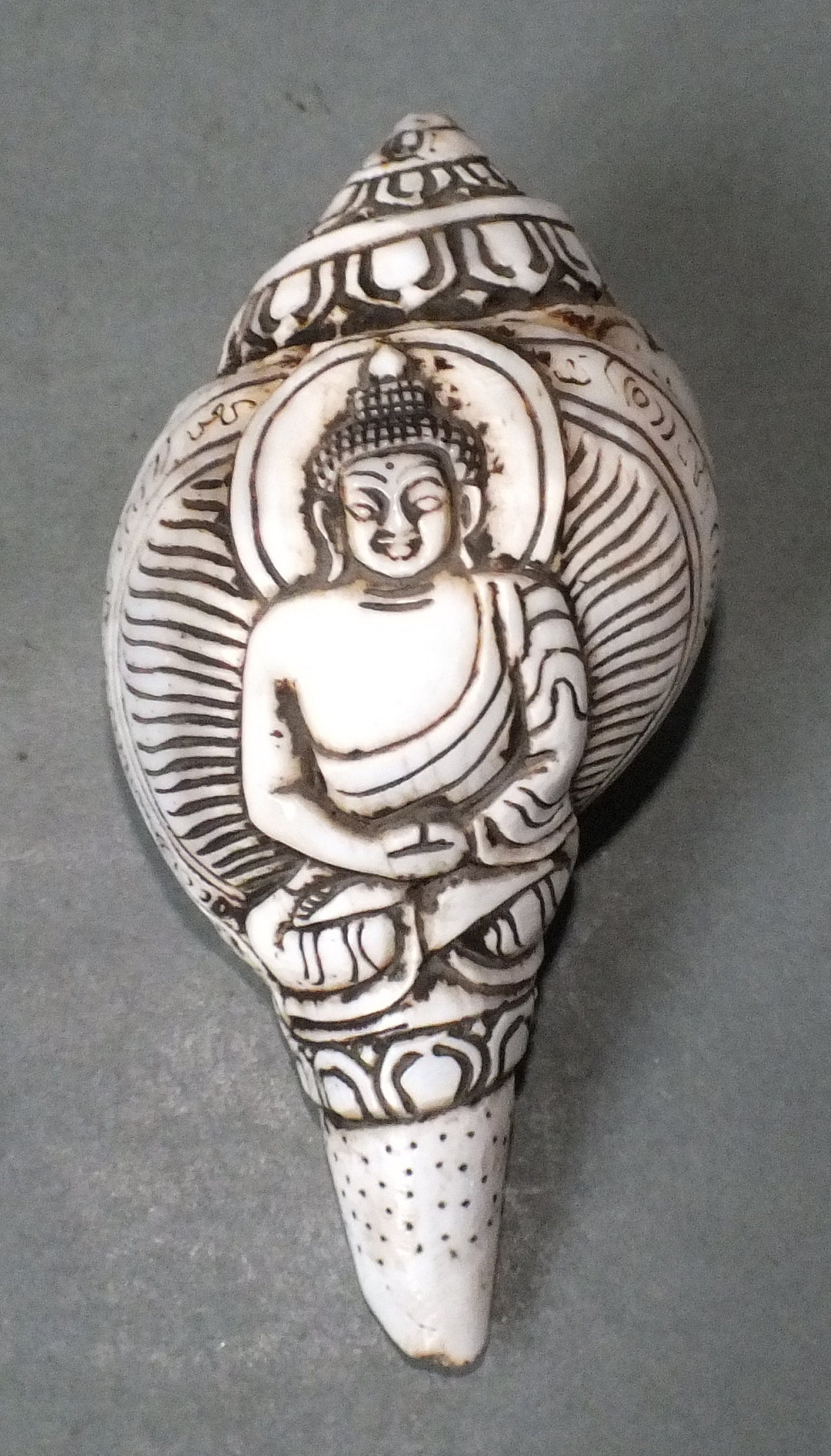 Tibetan Sea Shell Offering Vessel With Buddha Carving FREE - Etsy
