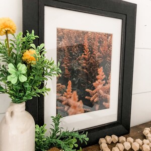 Fall Framed Prints, Fall Prints, Prints for Frame, Printed Artwork for ...