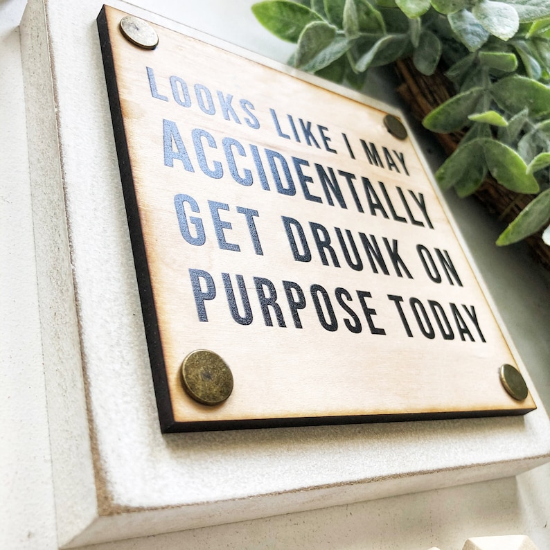 Funny Bar Sign Signs for Bar Funny Tiered Tray Signs Gifts - Etsy