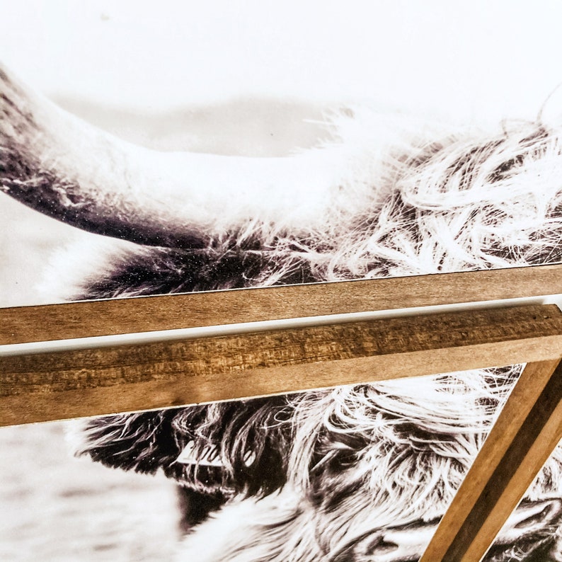 Highland Cow, Highland Cow Photo Collage, Multi Panel Wall Art, Wall ...