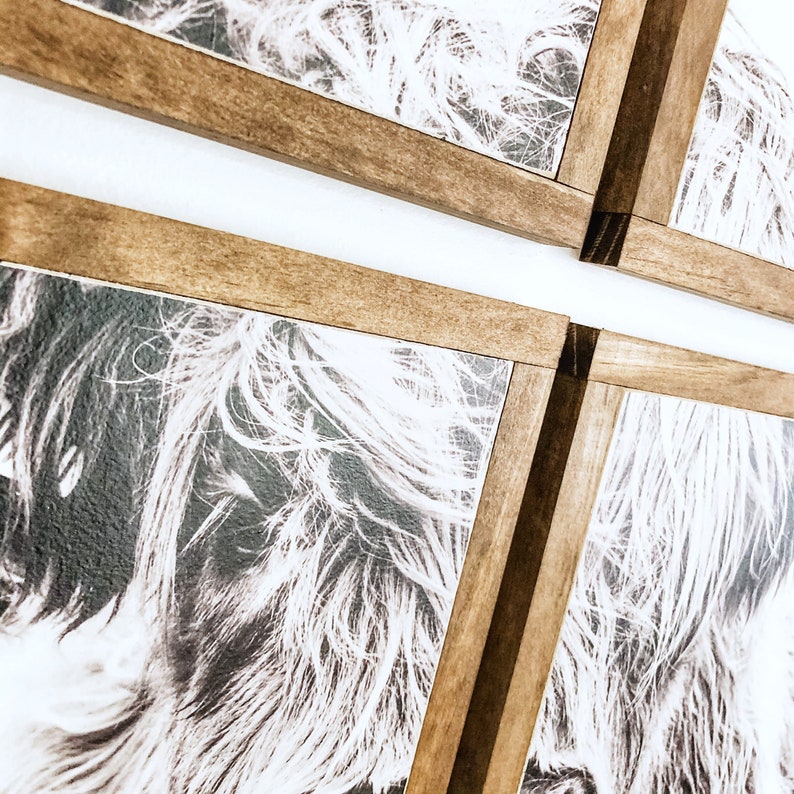 Highland Cow, Highland Cow Photo Collage, Multi Panel Wall Art, Wall ...