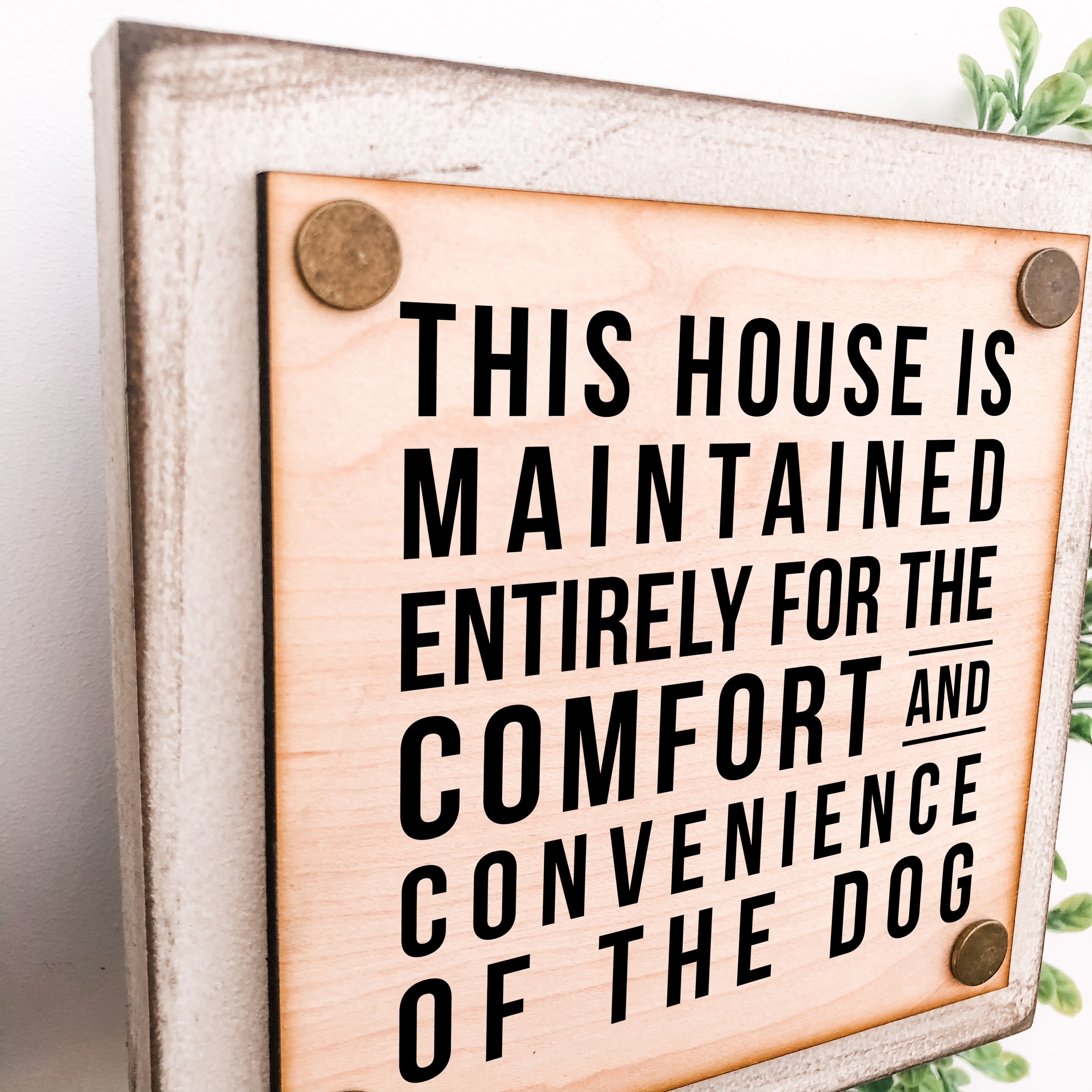 Funny Pet Sign Funny Dog Quote Dog Lover Sign Signs for - Etsy