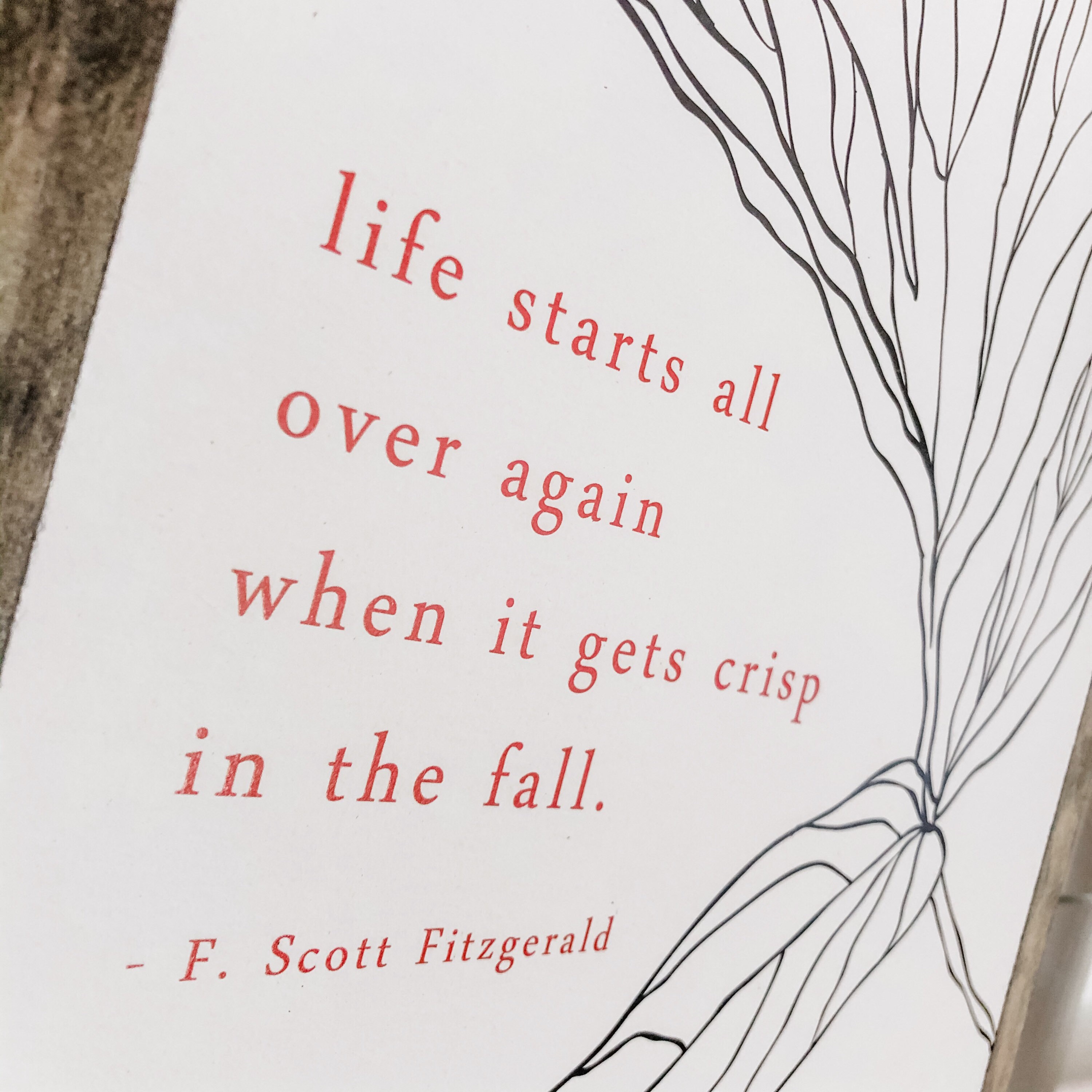 Fall Wood Sign Fall Quotes Fall Home Decor Signs for Fall - Etsy