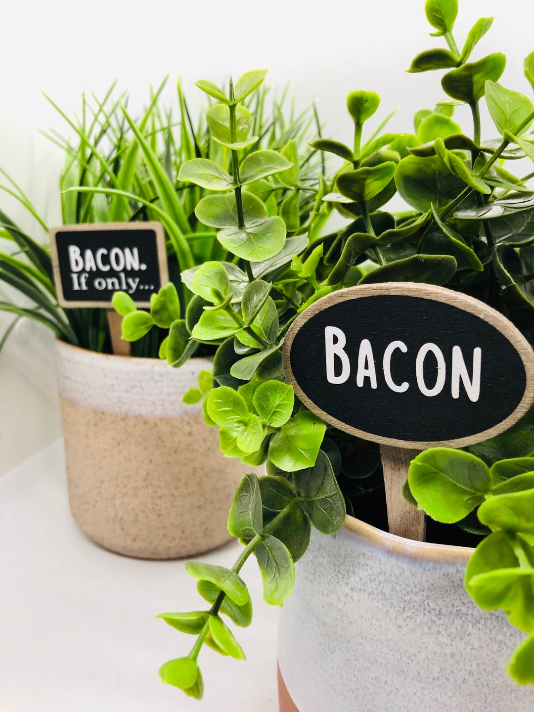 Plant Stake Saying, Plant Lover Gift, Indoor Plant Decor, Plant Stakes ...