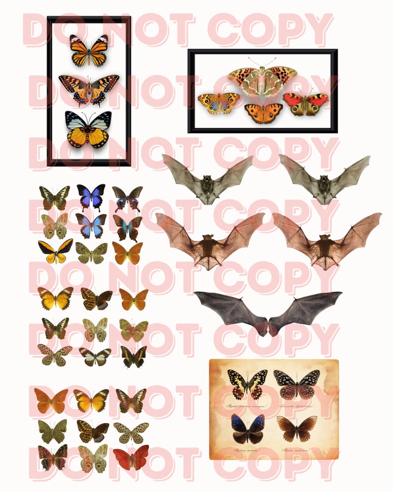 1:12 Scale Dollhouse Miniature Printable PDF Taxidermy - Etsy