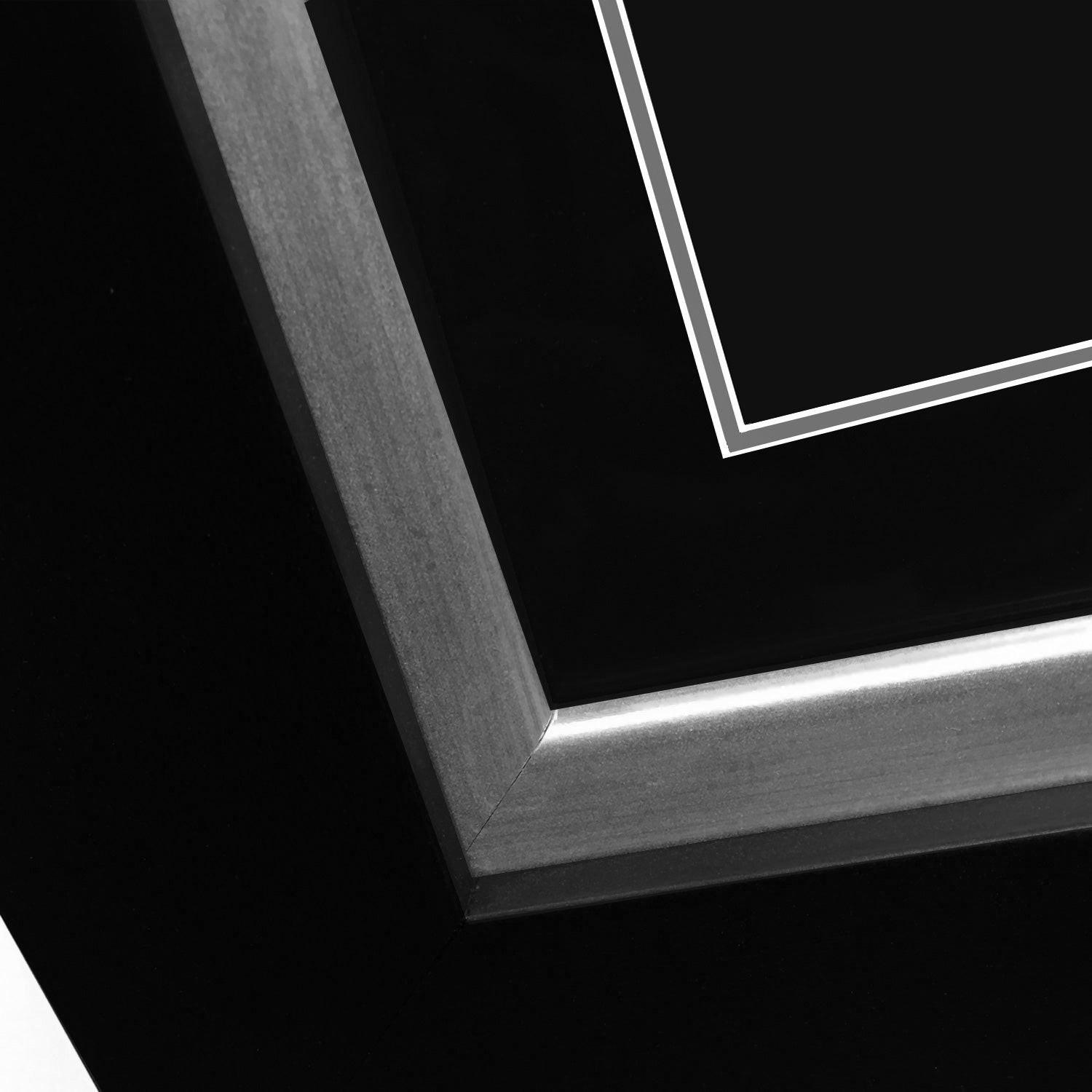 Pantera Dimebag Darrell Memorial Photo Limited Signature Edition Custom ...