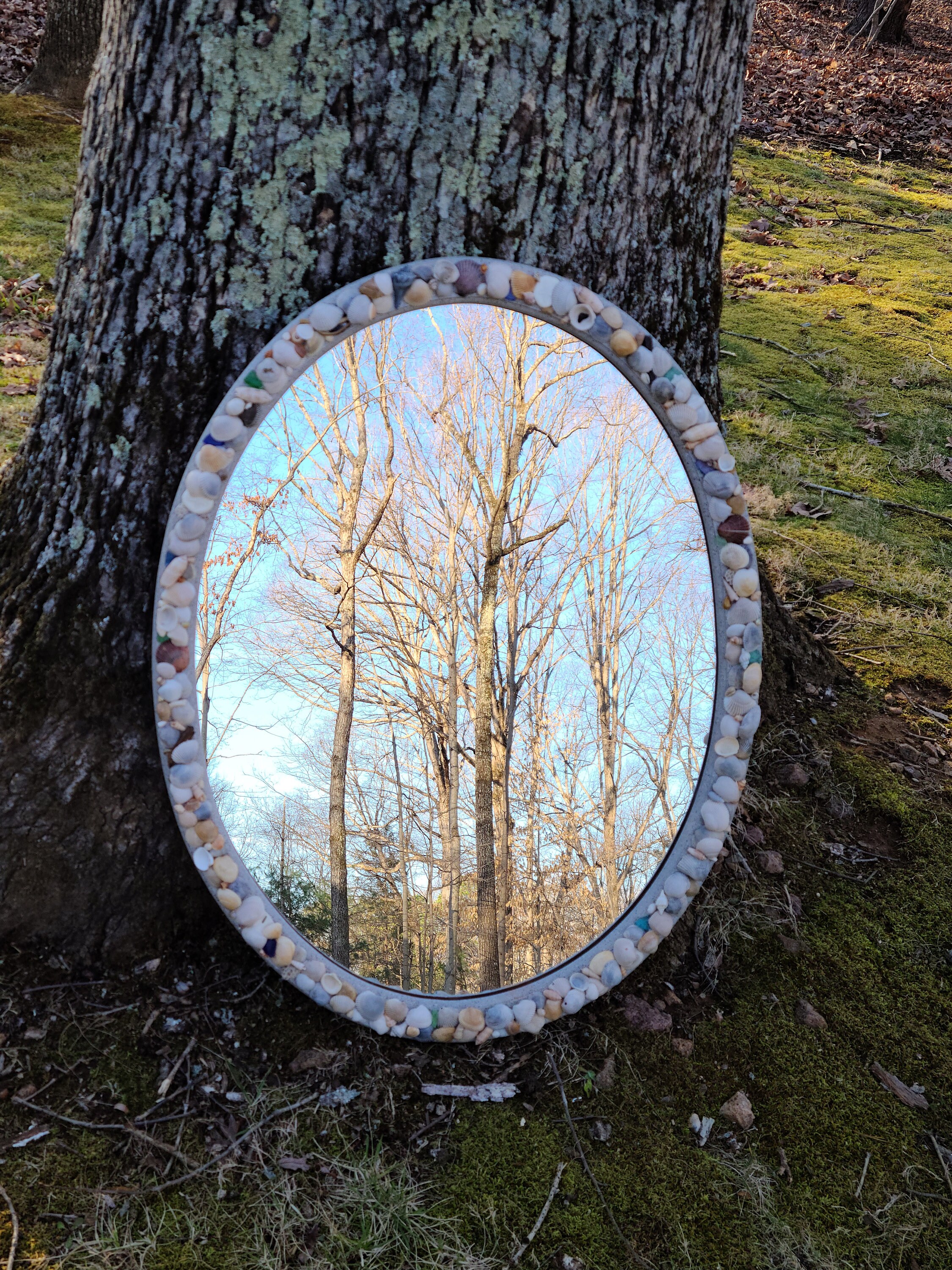 Large 35 Oval Beach Tropical Sea Shell Mirror - Etsy