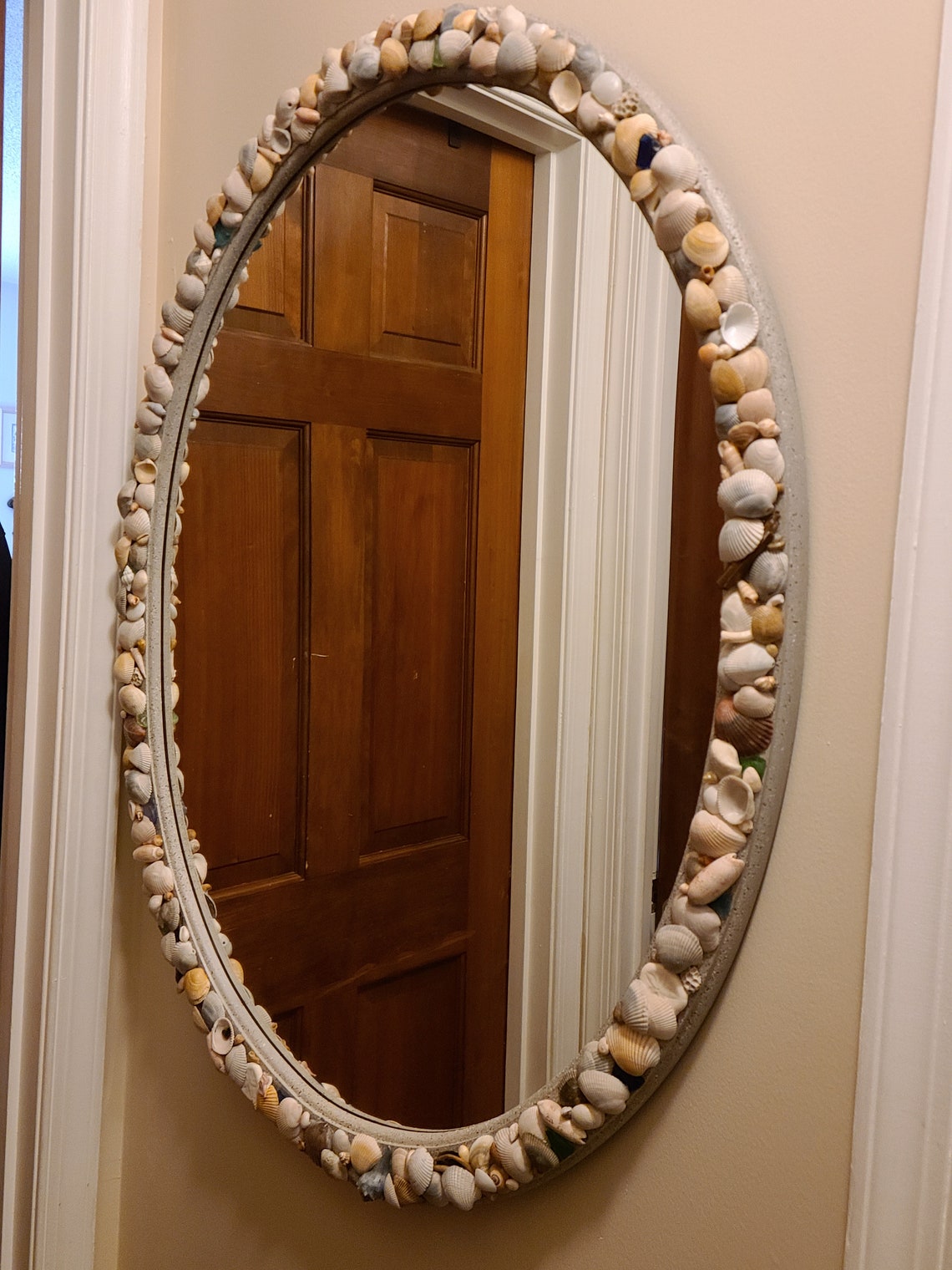 Large 35 Oval Beach Tropical Sea Shell Mirror - Etsy