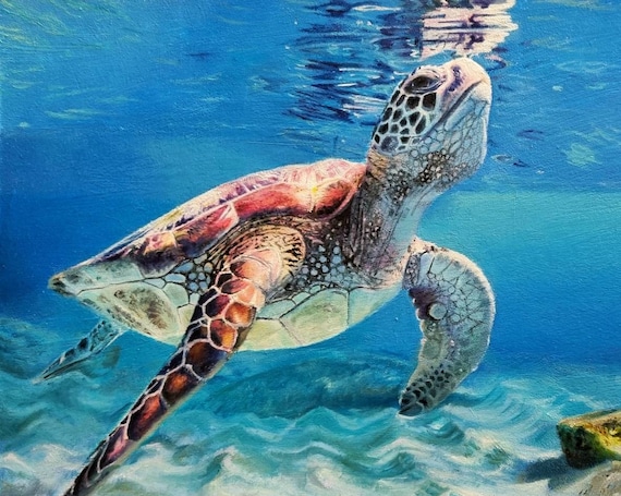 Turtle Oil Painting