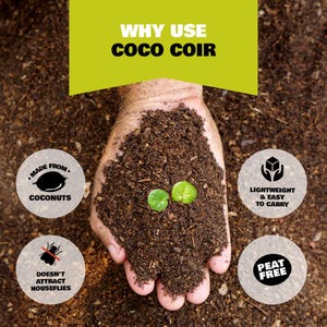 COCO & COIR Coco Soil Coconut Fibre. 100% Natural Organic Coconut Coir ...